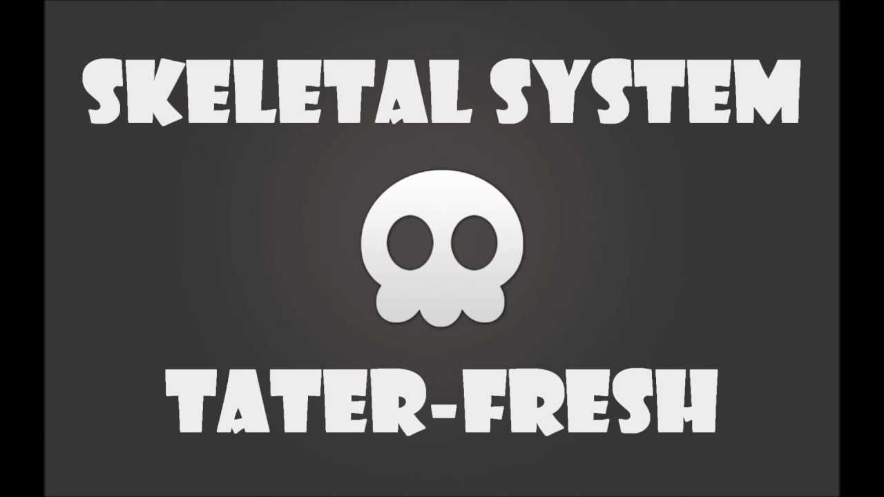 Skeletal System Song (Meek Mill - Amen Remix) - YouTube