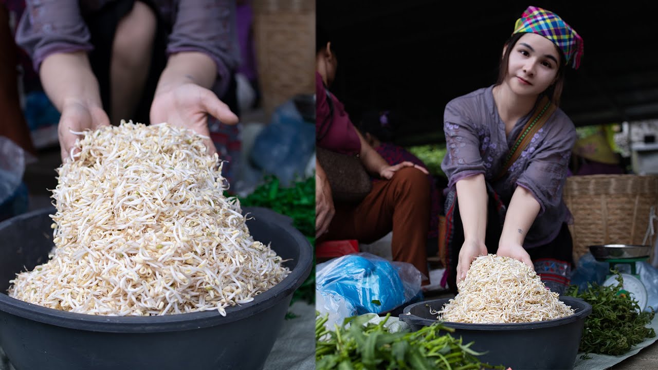 bean sprout making process: from bean to table - YouTube