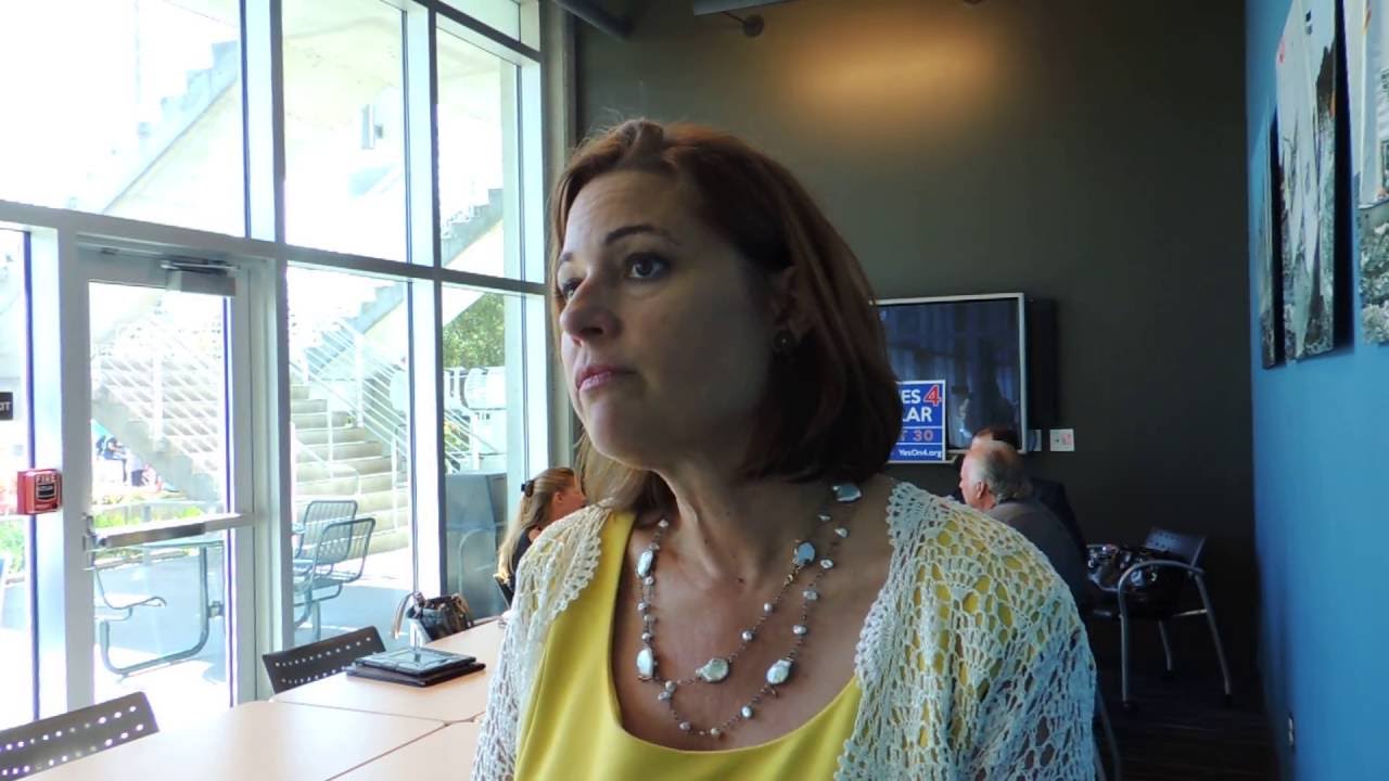 Darden Rice on solar Amendment 4: WMNF News - YouTube