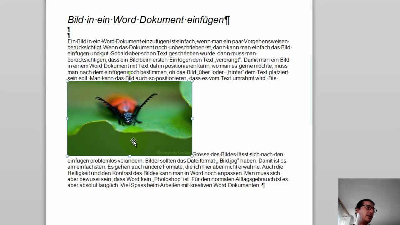 Bild in ein bestehendes oder neues Word Dokument einfügen (Office 2010 ...