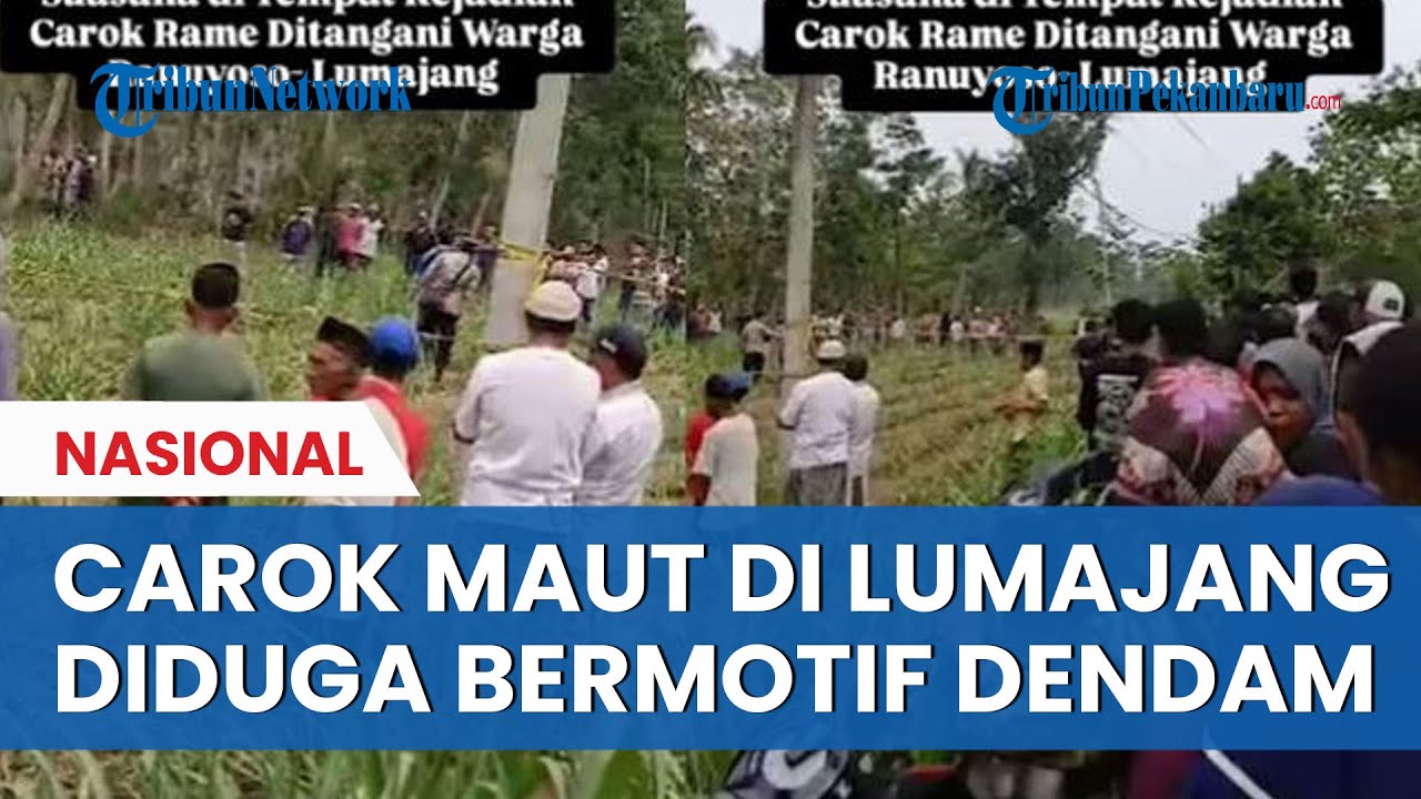 KRONOLOGI Carok Maut di Lumajang Tewaskan Munario Jadi Tontonan Warga ...