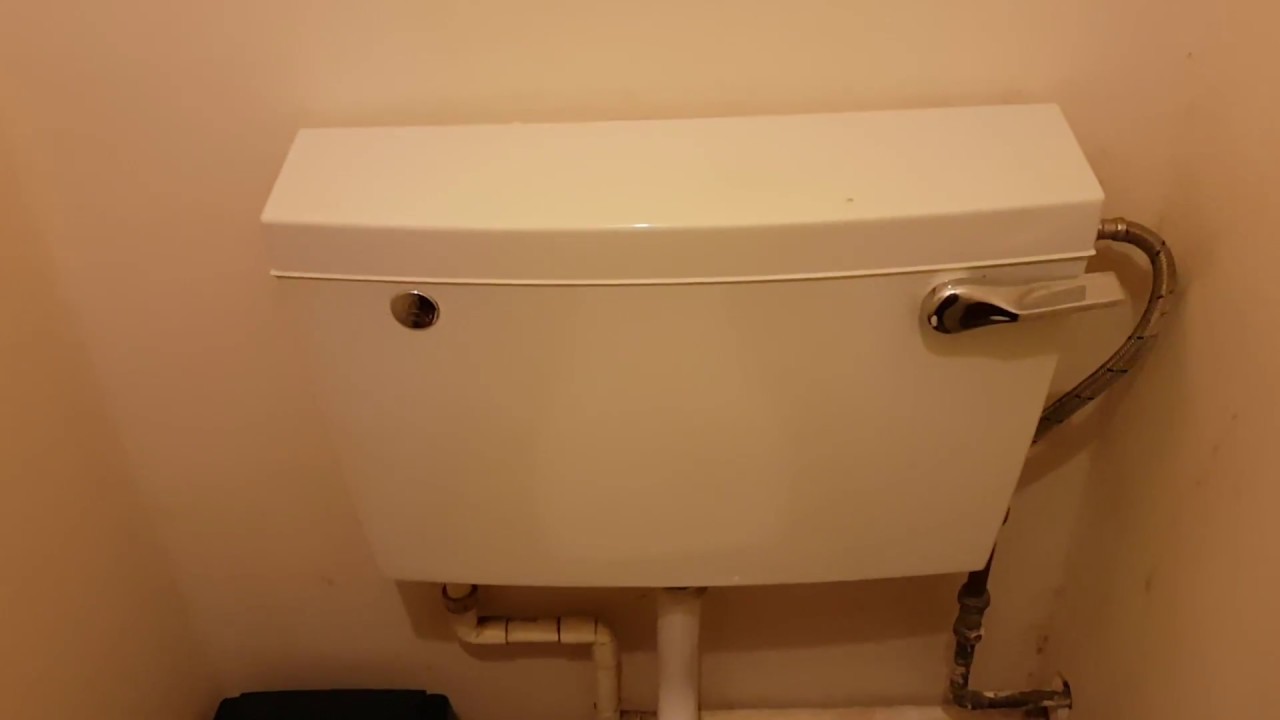 Shires Supaline/LL AS Regal, PH, Woodville (2) - YouTube