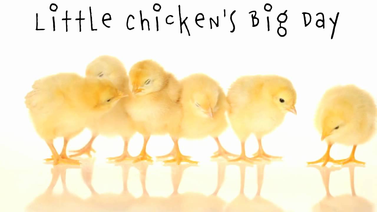Little Chicken's Big Day Book Trailer - YouTube