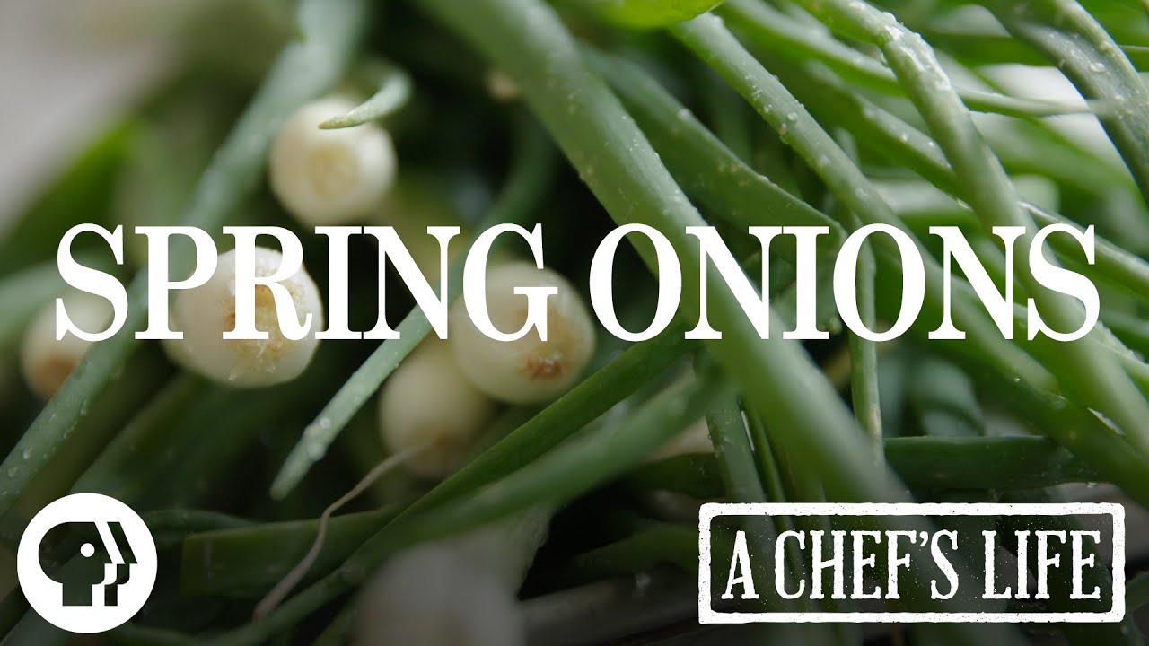 Spring Onions | A Chef's Life | PBS Food - YouTube