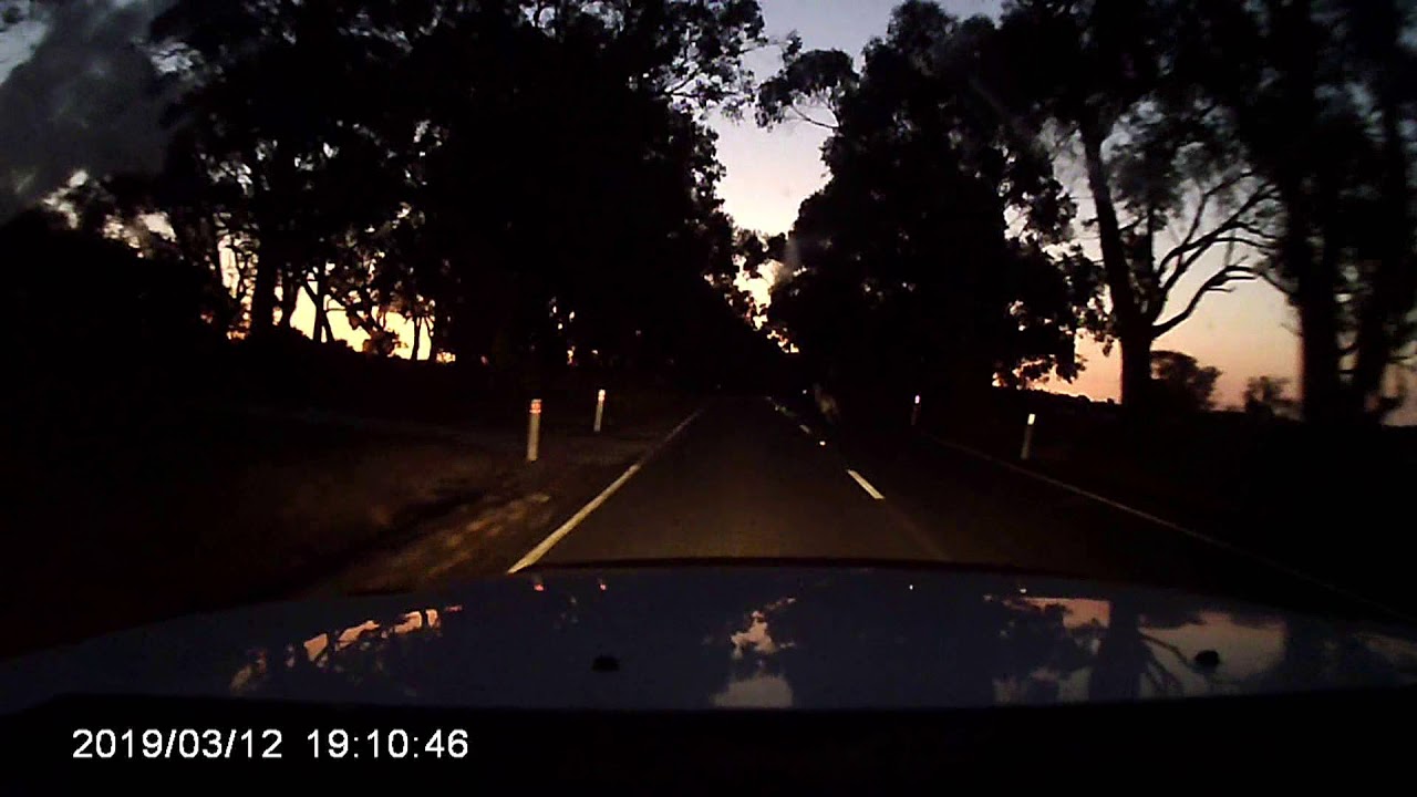 Skippy Trip - YouTube