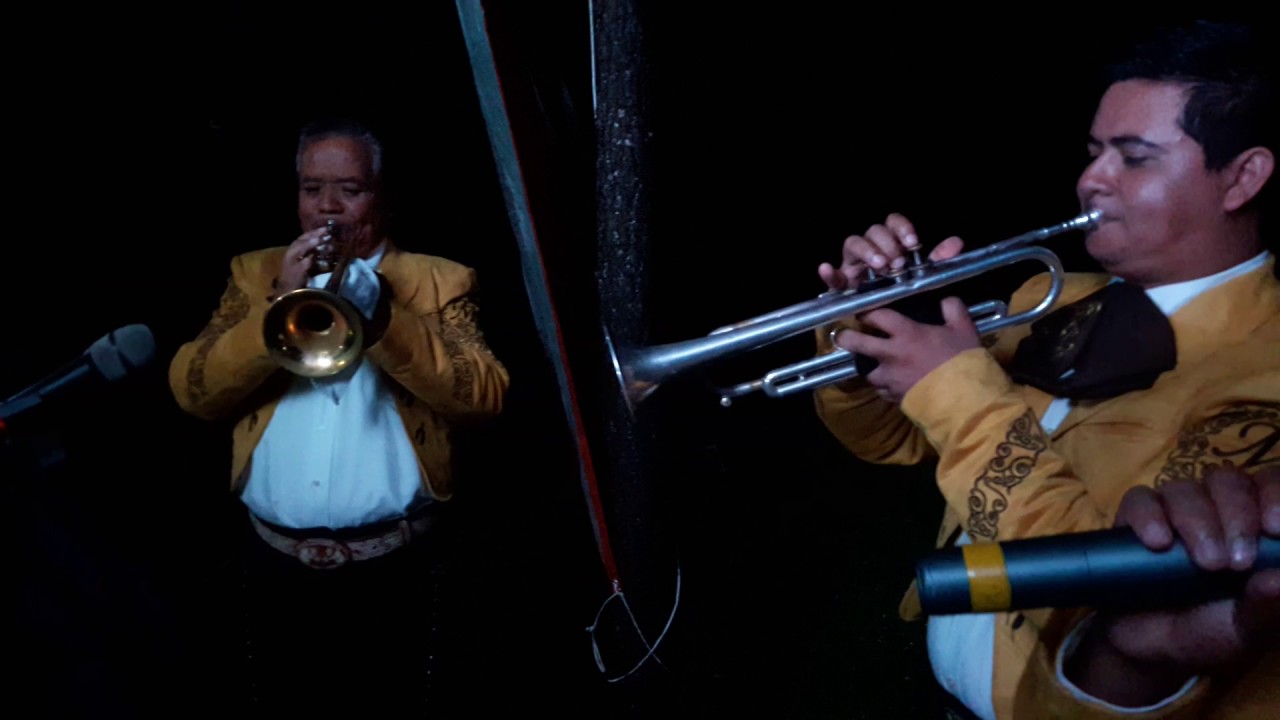 Las Rayitas (Raul Partida) Mariachi Real Tamazula - YouTube