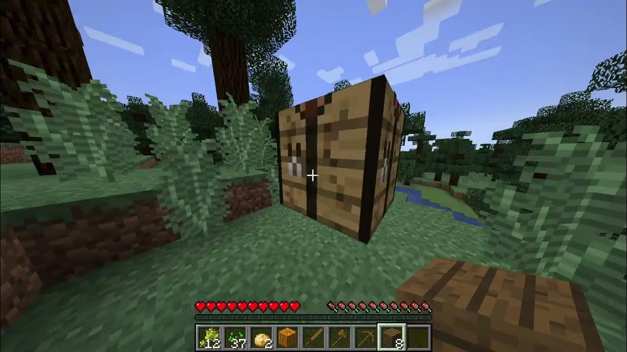 A NEW SERIES! /MINECRAFT JAVA EDITION /PLAYER FROM POCKET EDITION PLAYS ...