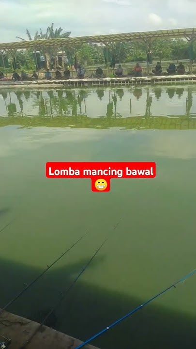 Lomba mancing ikan bawal - YouTube