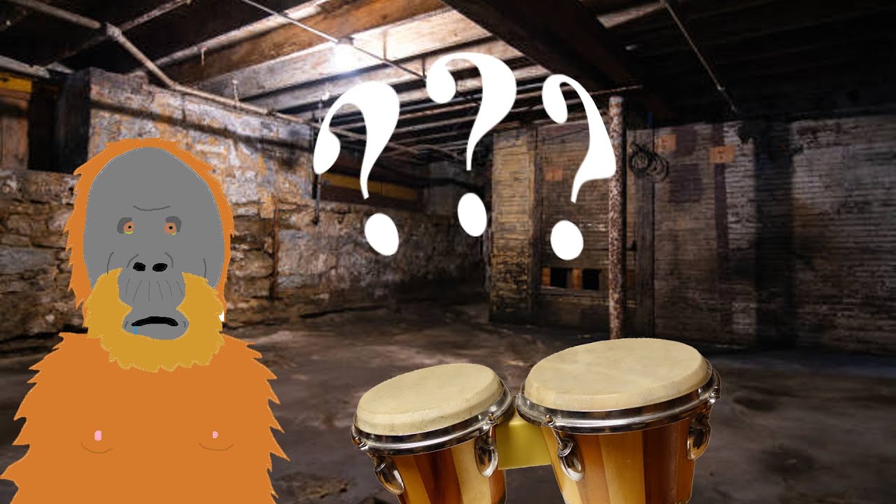 monkeys first bongo - YouTube