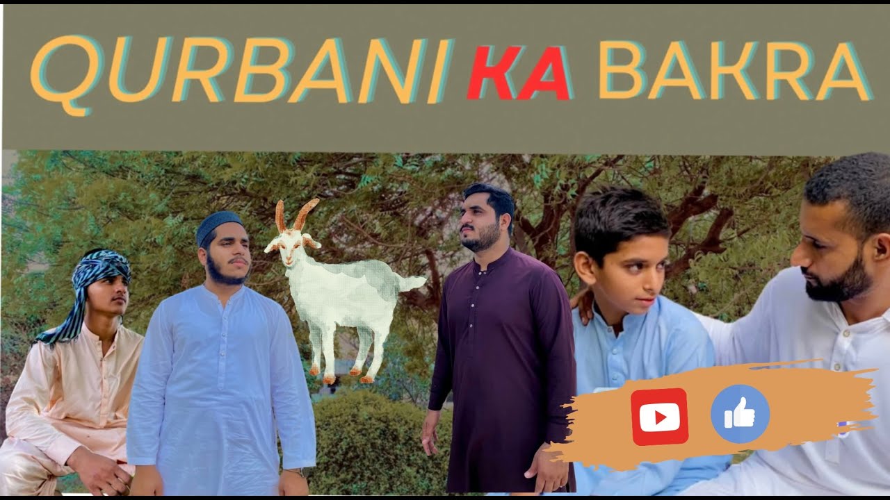 QURBANI KA BAKRA | MR HAMZ | #mrhamza #qurbanikabakra #awareness # ...
