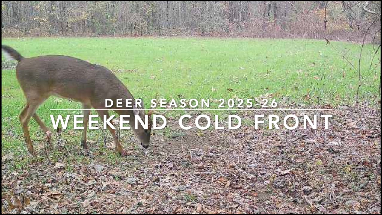 Kudzu Bluff COLD FRONT - Another weekend at Deer Camp! - YouTube