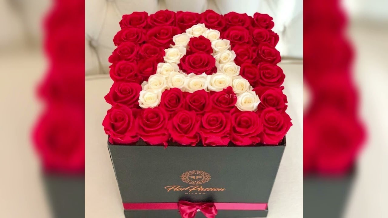 ROLAND 2023 - Animi küldi - YouTube