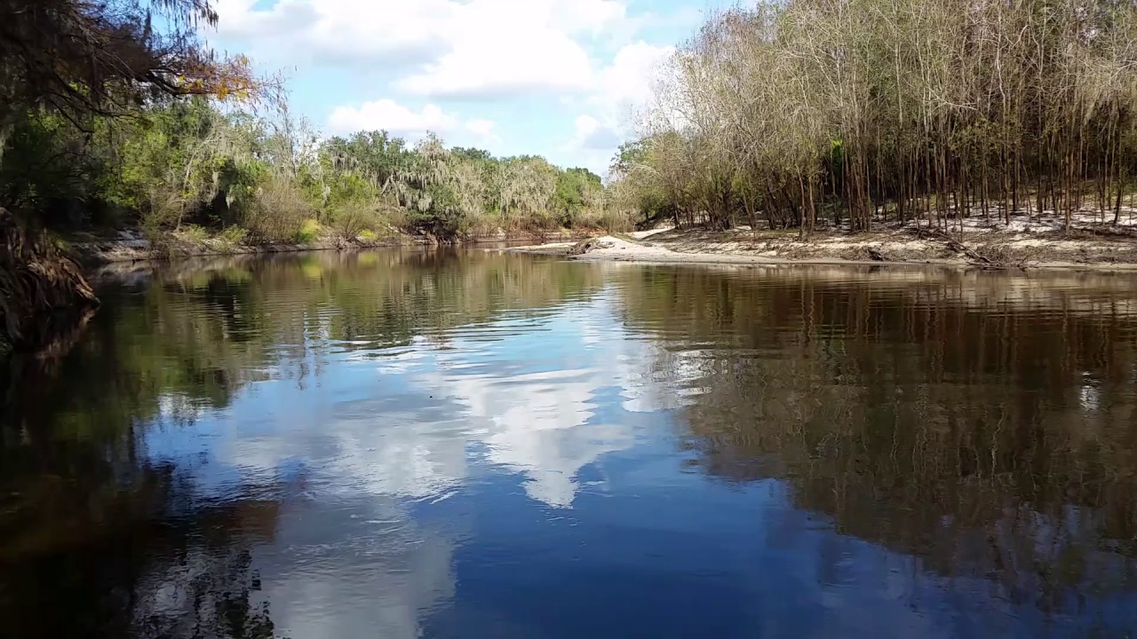 Fossil Hunting the Bone Valley Region of Southwest Florida Along the ...