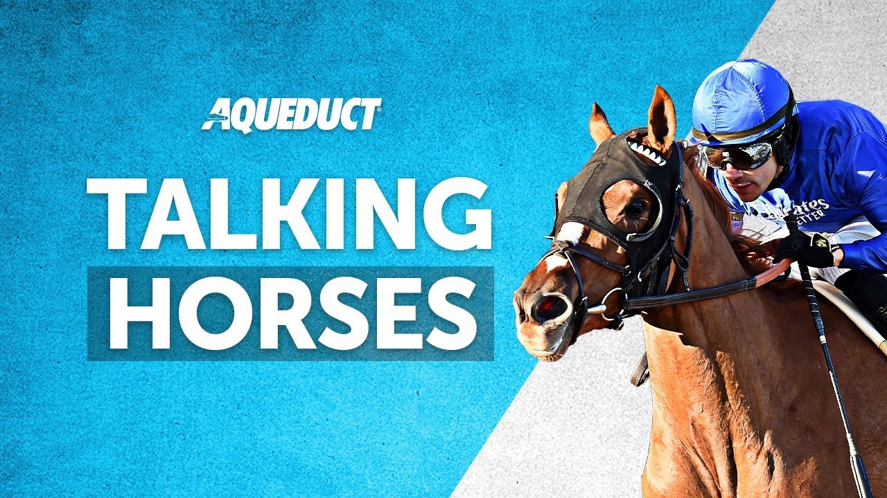 Talking Horses - November 6, 2020 - YouTube