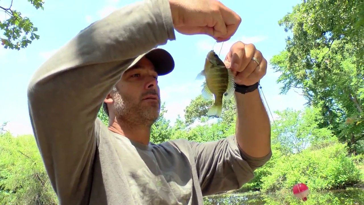 Camp Tyler's Outdoor Education Program Teaches Kids About Birds, Fish ...