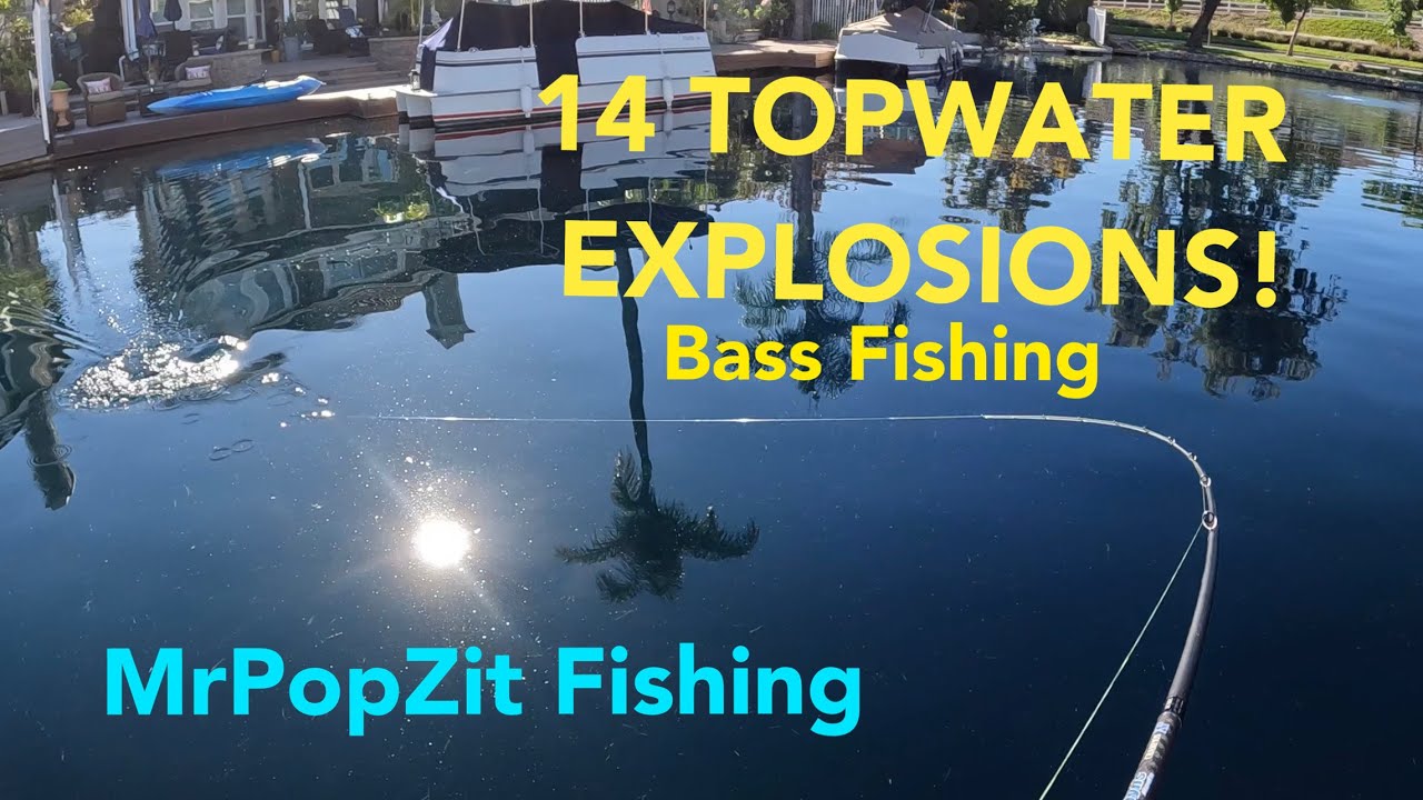 14 Topwater fishing explosions! Big Bass topwater action. Last bass ...