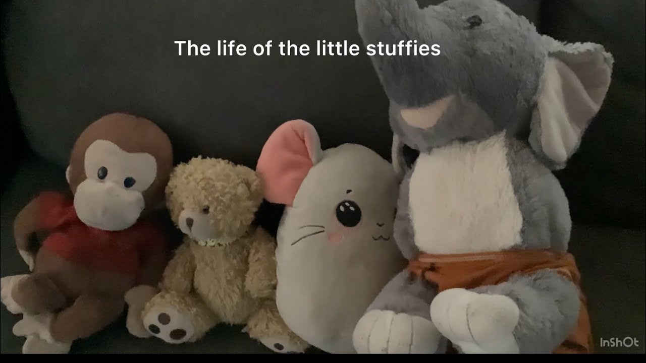 The life of the little stuffies - YouTube