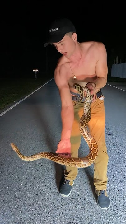 How To Pick Up A Python! - YouTube