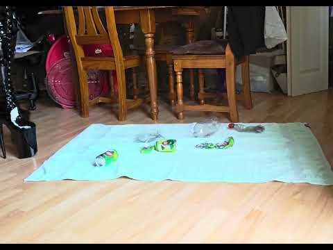 10 INCH HIGH HEEL CRUSH PARTY
