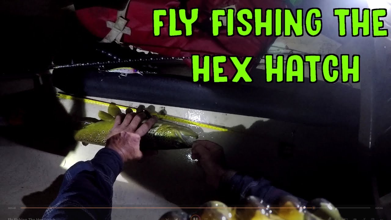 Fly Fishing The Hex Hatch - YouTube