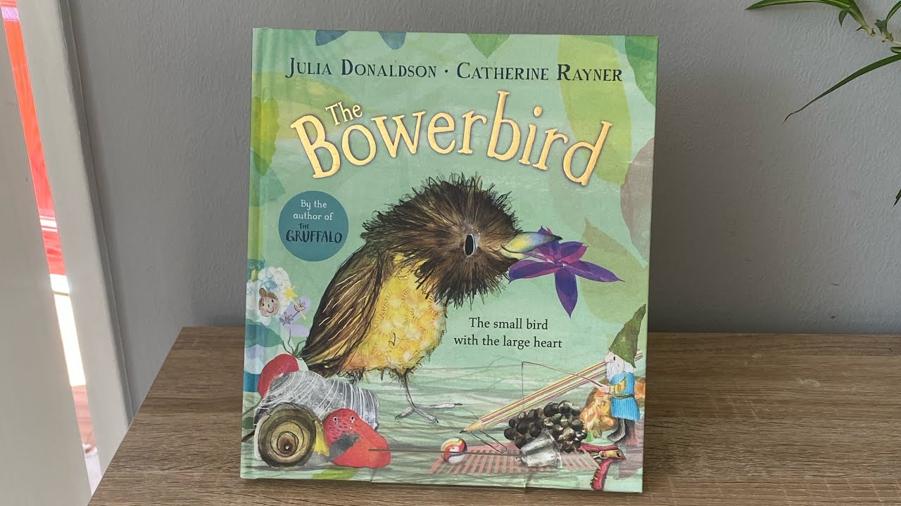 Kids Bedtime Read Aloud 😴📚 - KT Budge Books Reads The Bowerbird - YouTube