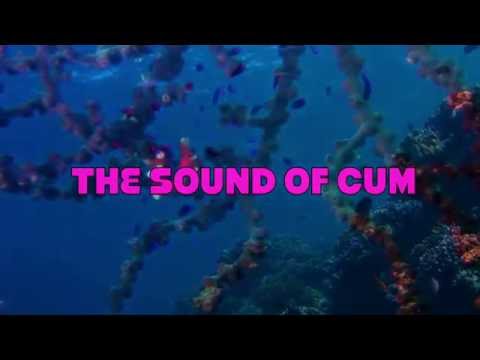 ASMRotica - The Sound Of Cum