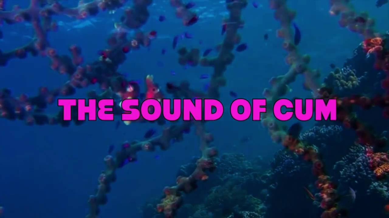 ASMRotica - The Sound Of Cum - YouTube
