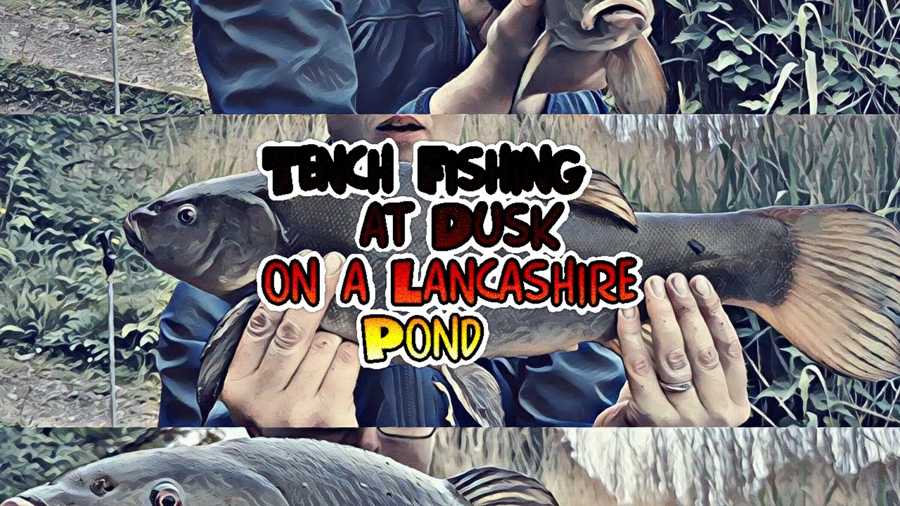 Tench Fishing on a Lancashire Pond - YouTube