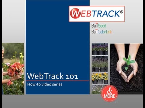 Ordering From Ednie Flower Bulb-Bulbs - YouTube