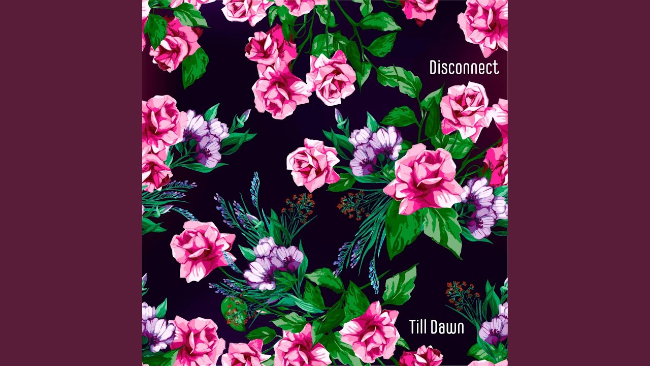 Disconnect YouTube disconnect-youtube