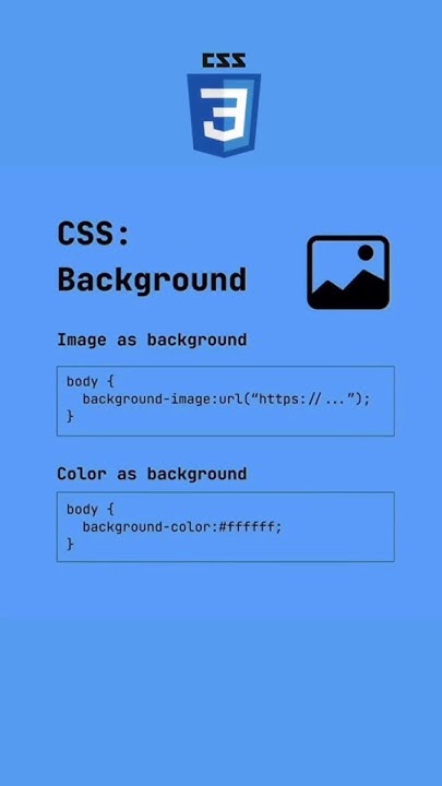 #css image as background #shurts #programming #html #frontenddeveloper #learning # ...