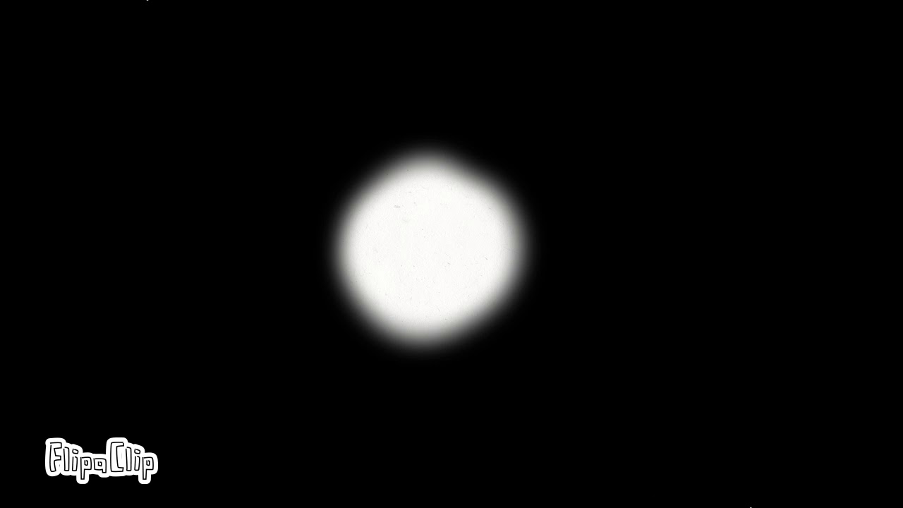 Gotcha Animation - YouTube