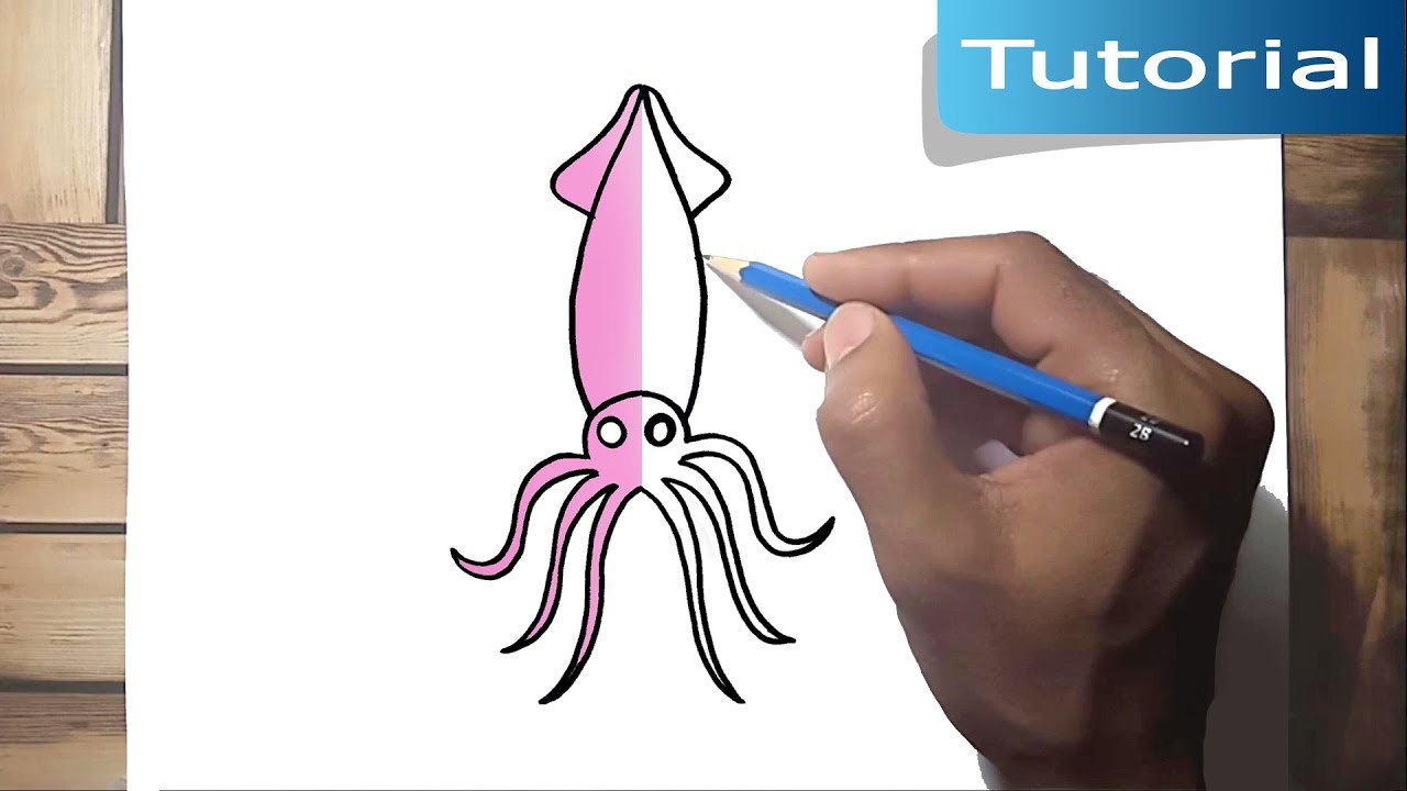 How To Draw a Squid | Easy tutorial - YouTube