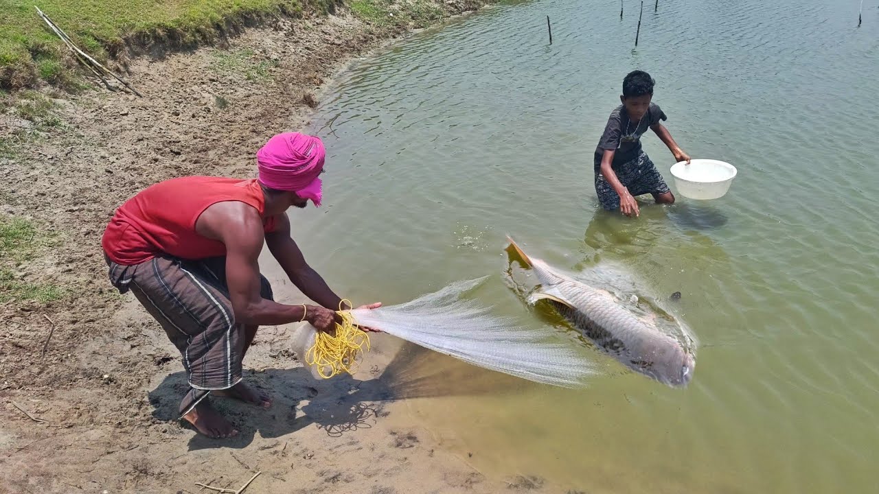 Best net fishing video - Amazing traditional net fishing video by ...
