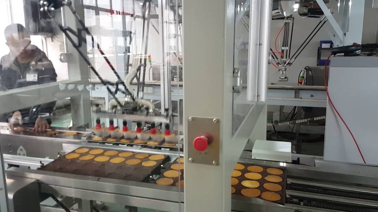 Kendy Robot Handling Stacking and Packging Line for Biscuits - YouTube