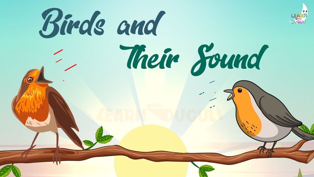 Birds sound | Birds noises | Bird species sound | Learn bird names and ...