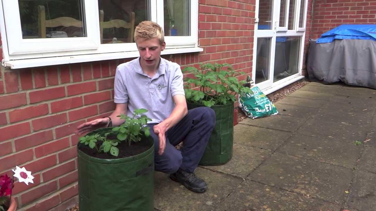 Earthing Up Potatoes | Jack Shilley - YouTube