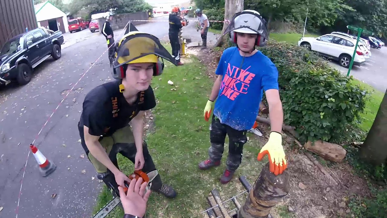 Felling Training - YouTube