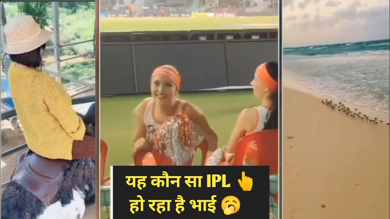 IPL Highlights 2023 । IPL memes। IPL 2023 । Dank memes - YouTube