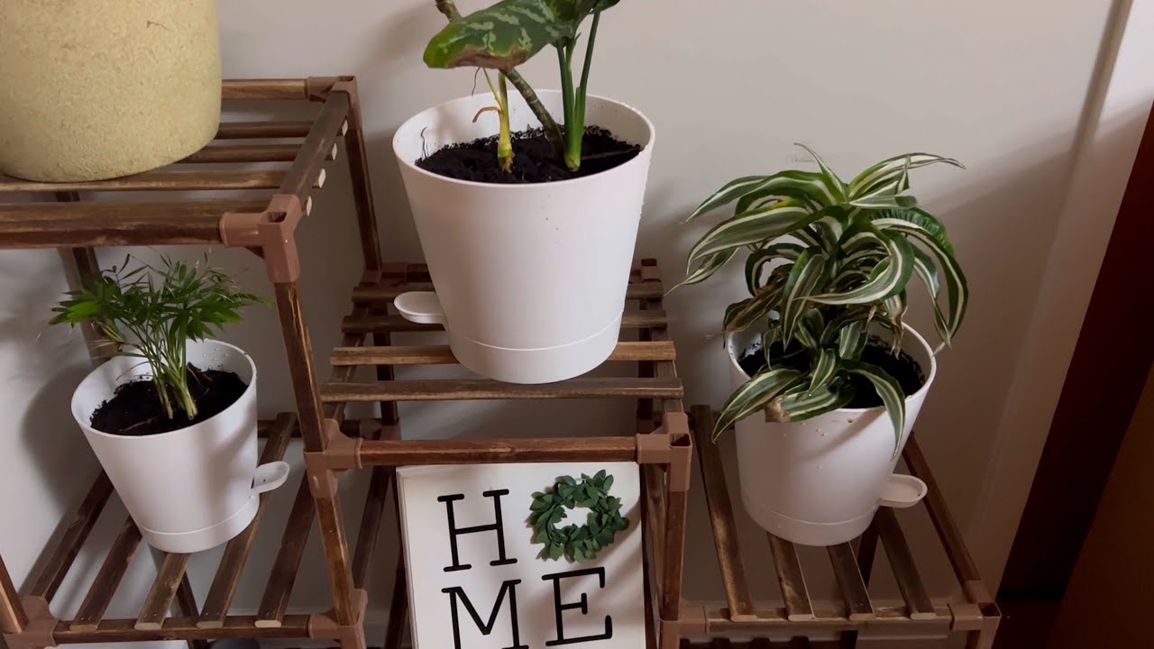 Self Watering Pots - 8/7/6.5/6/5.5/5 Inch Self Watering Planters for ...