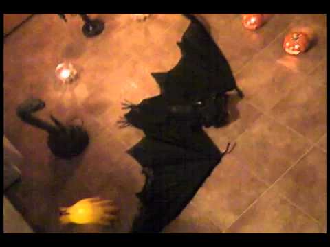 Screaming Bat - YouTube