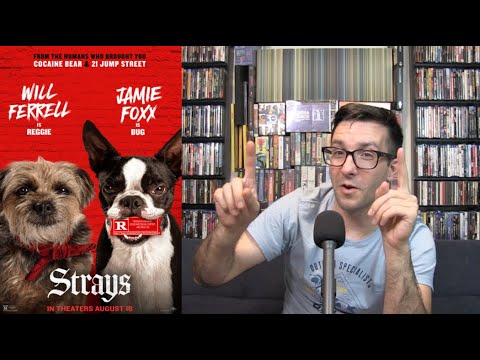 Strays Movie Review--I NEED Strays 2: Gus's Human - YouTube