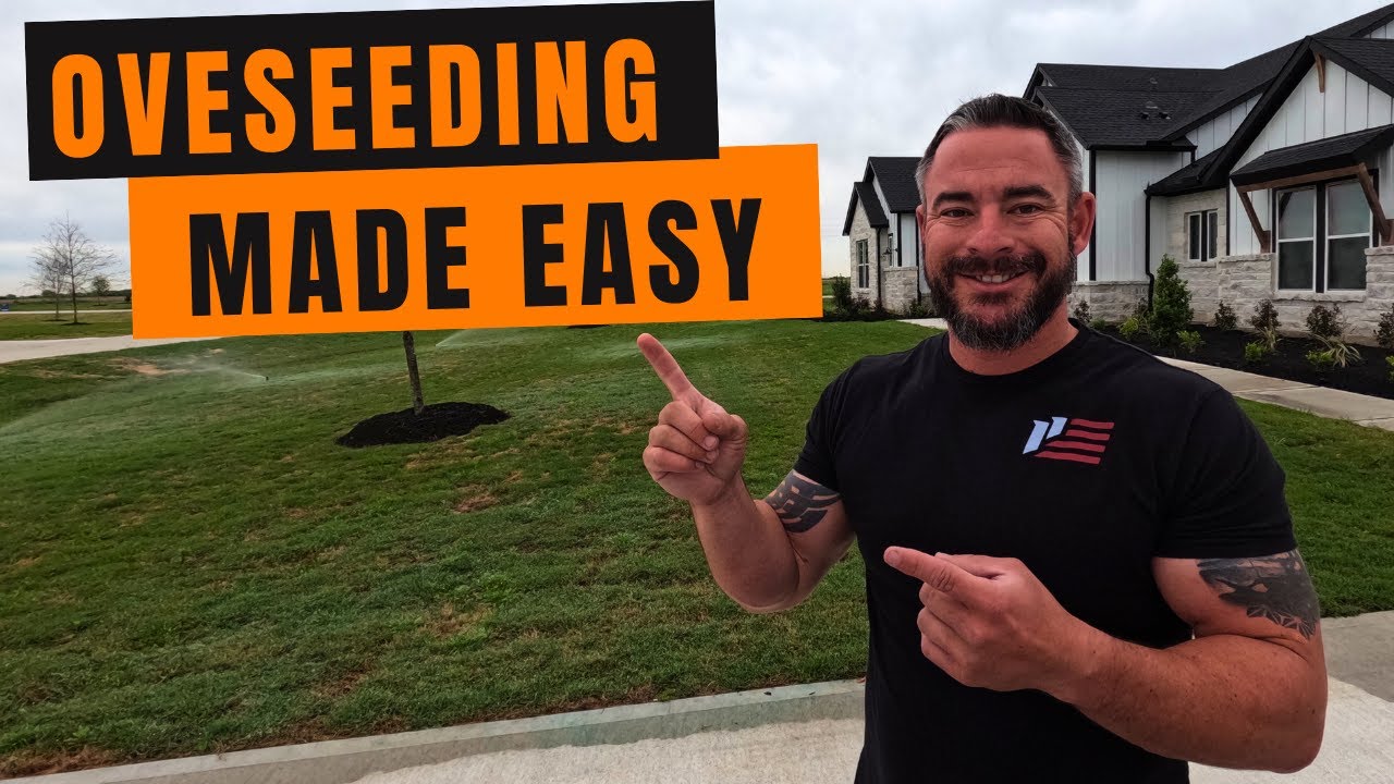 Beginners Guide To Overseeding A Lawn - YouTube