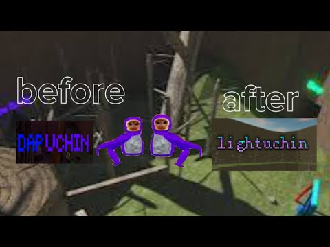 Getting people to play Lightuchin instead of dapuchin #capuchin # ...