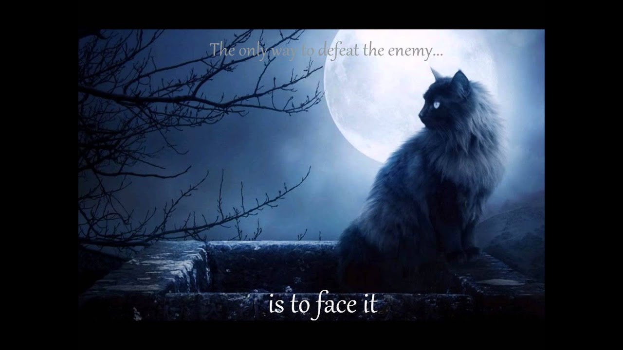 Warrior cats - I can walk on water - Basshunter - YouTube