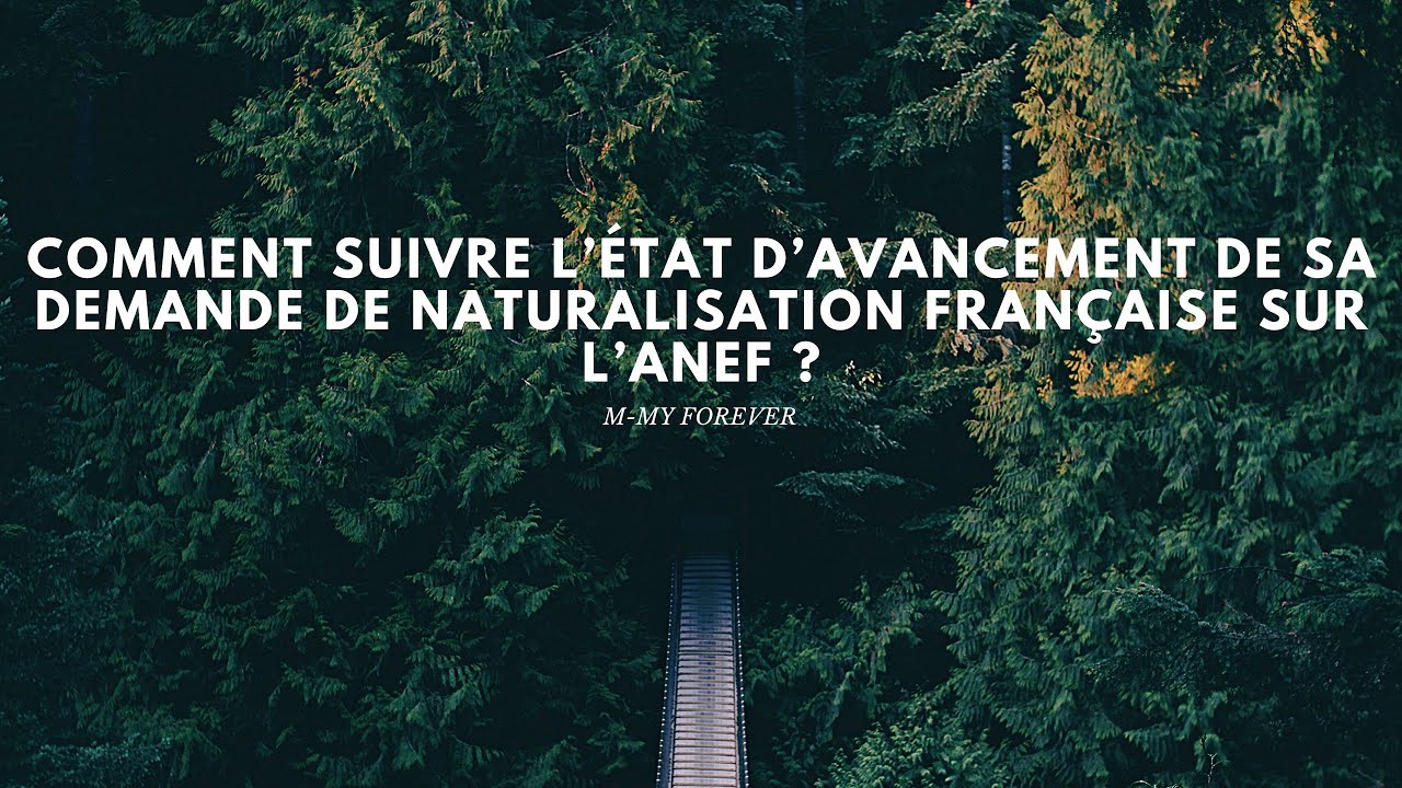 Comment suivre l’état d’avancement de sa demande de naturalisation ...