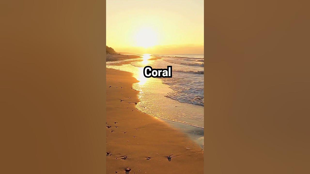 Explore the coral reefs! - YouTube