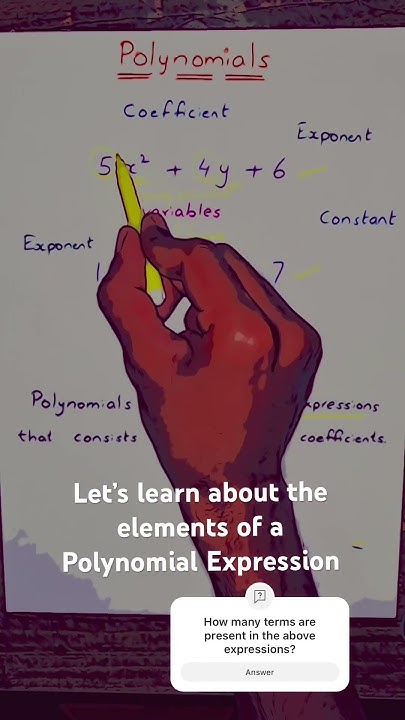 Polynomial Expression - YouTube