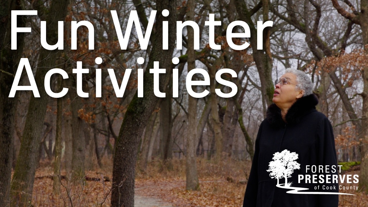 Fun Winter Activities To Do in the Forest Preserves of Cook County ...