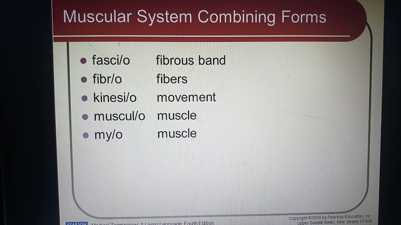Medical terminology chapter MUSCULAR SYSTEM - YouTube